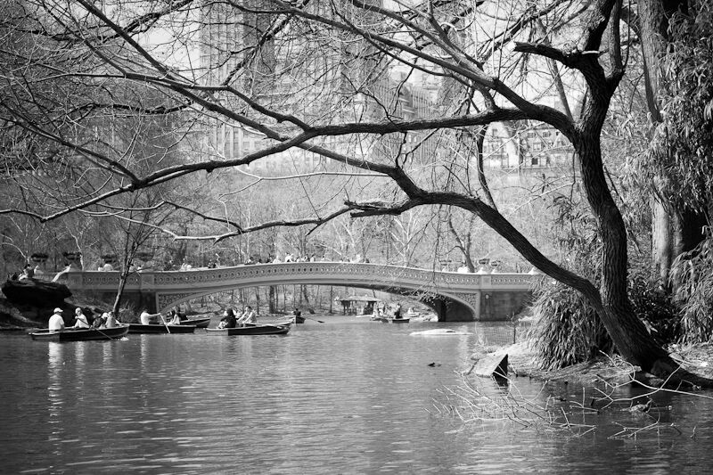 Bow Bridge History and Photography, Central Park, New York